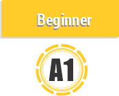 SPANISH FOR ADULTS | Espanol without stress